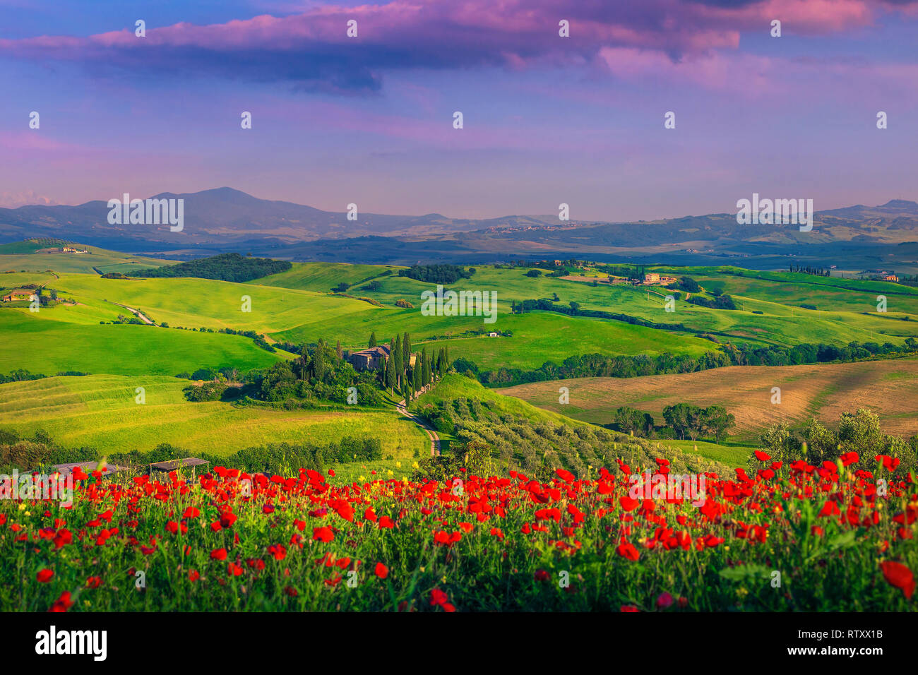 Ammirevole estate Toscana paesaggio. Fantastica campagna con campi di ...