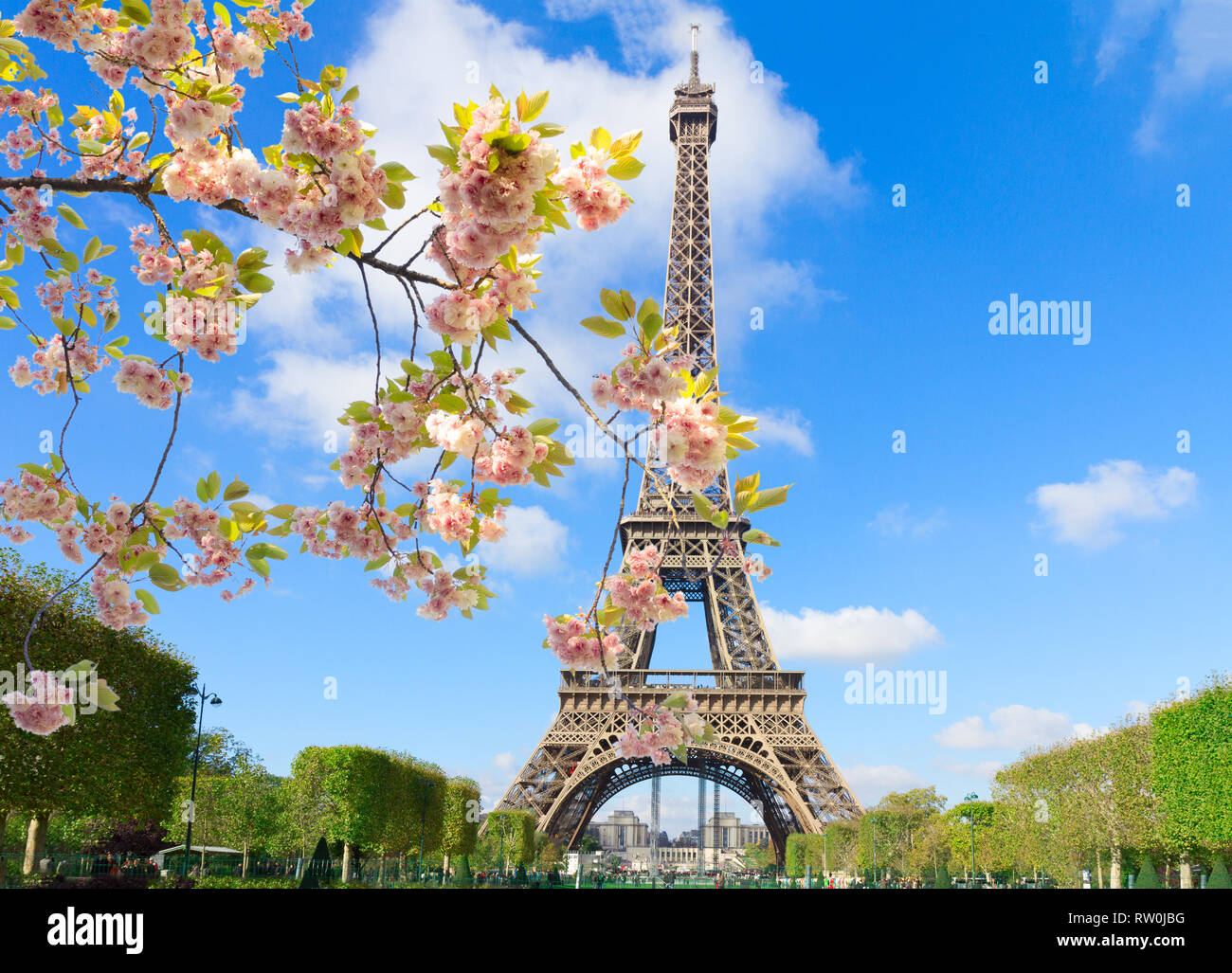 Tour eiffel con fiori primaverili immagini e fotografie stock ad alta ...