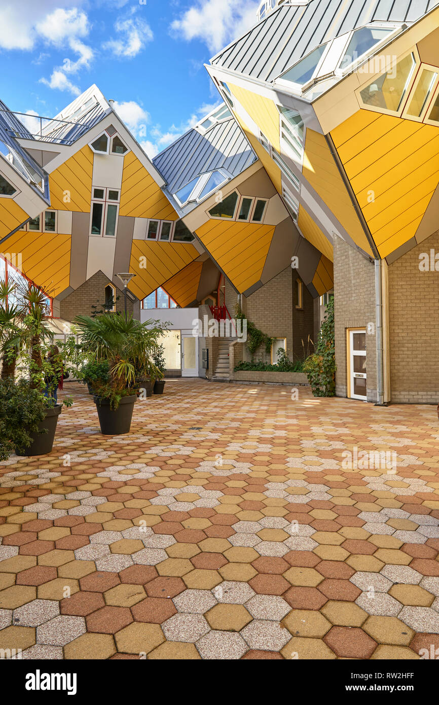 Paesi bassi rotterdam piet blom immagini e fotografie stock ad alta ...