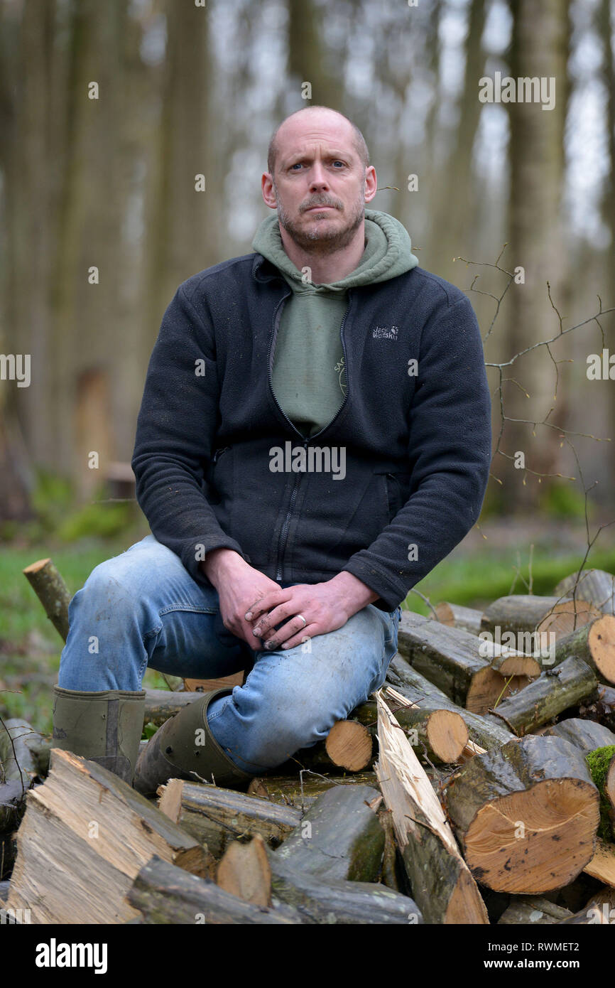Alberi colpiti dalla malattia del frassino immagini e fotografie stock ...