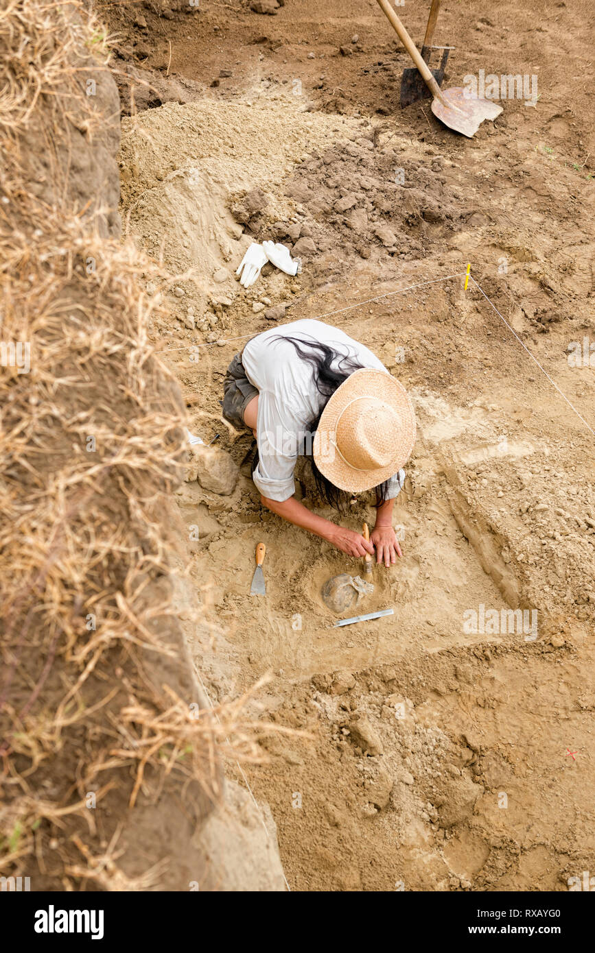 Archeologo preistorico immagini e fotografie stock ad alta risoluzione ...