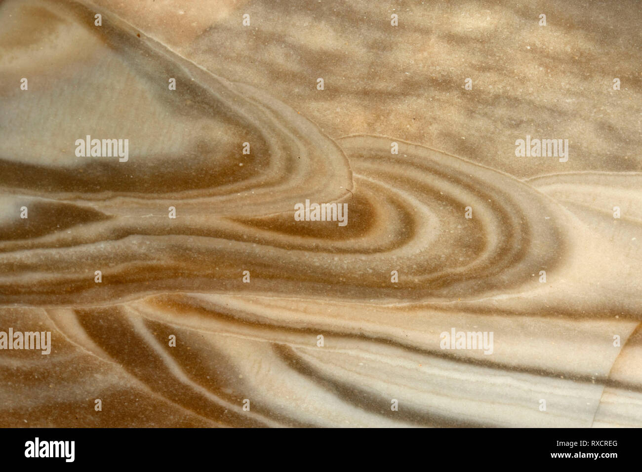 Selce roccia immagini e fotografie stock ad alta risoluzione - Alamy