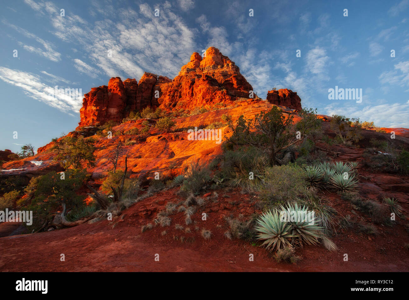 Bell rock immagini e fotografie stock ad alta risoluzione - Alamy