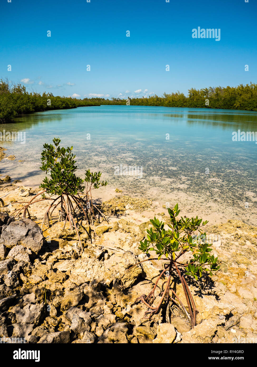 Rock sound eleuthera immagini e fotografie stock ad alta risoluzione ...
