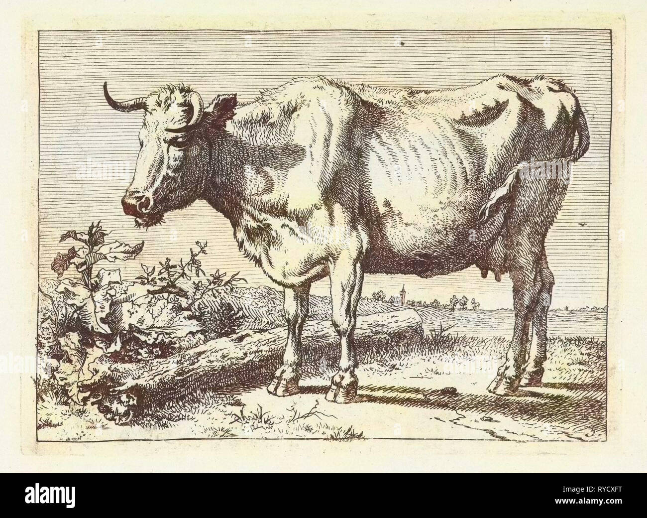 Corna contorte immagini e fotografie stock ad alta risoluzione - Alamy