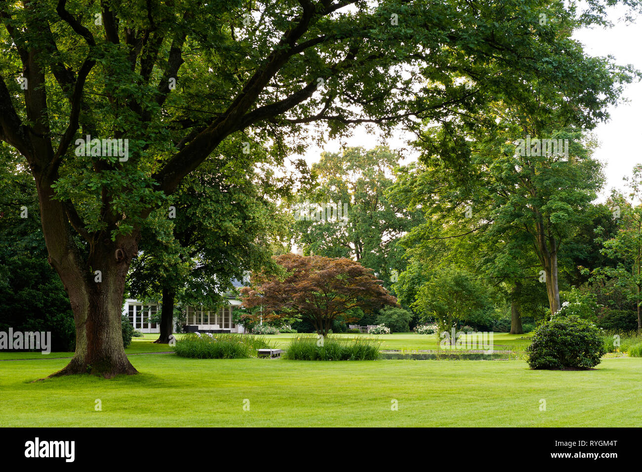 Ampio prato verde immagini e fotografie stock ad alta risoluzione - Alamy