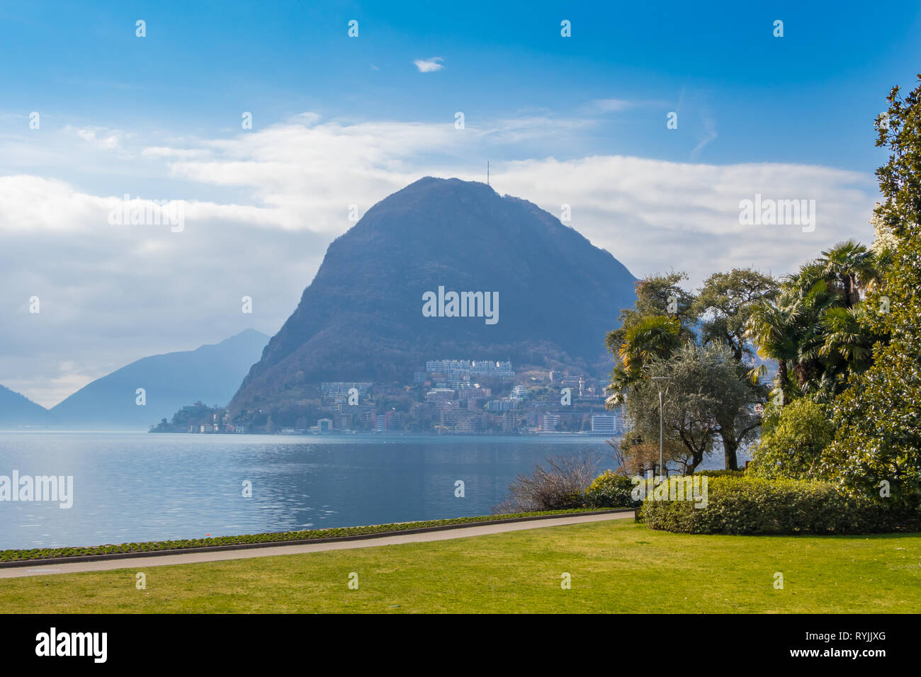 Parco ciani immagini e fotografie stock ad alta risoluzione - Alamy
