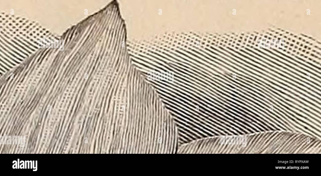 Dreer trimestrale del listino all'ingrosso Dreer trimestrale del ...