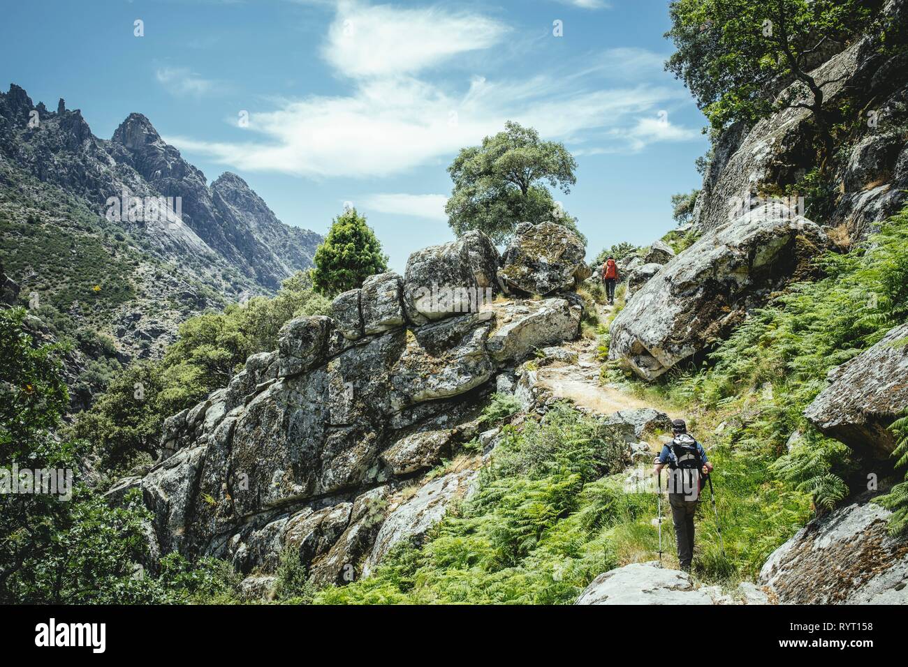 Montagne di castiglia e leon immagini e fotografie stock ad alta ...