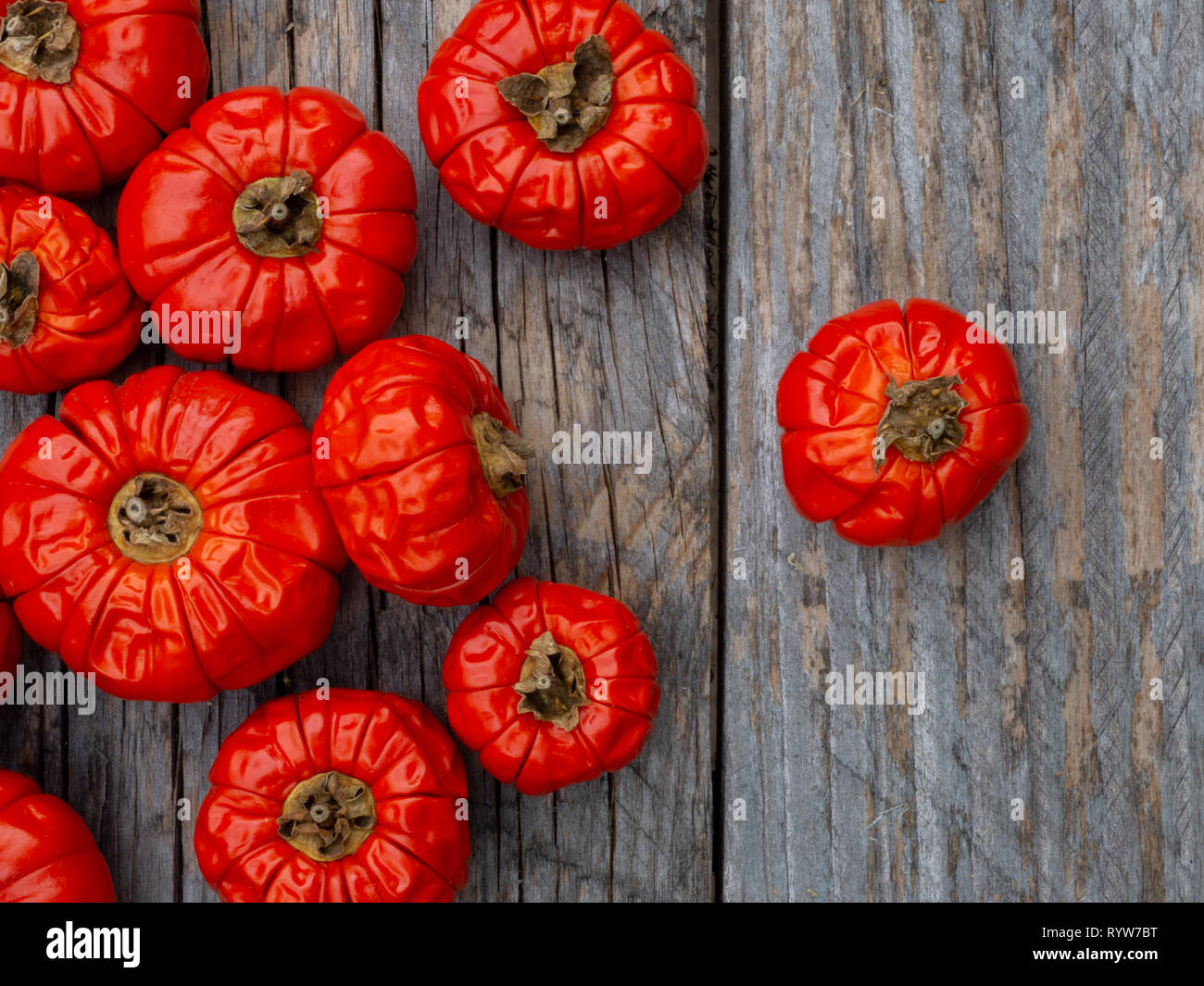 Mini peperoncini immagini e fotografie stock ad alta risoluzione - Alamy