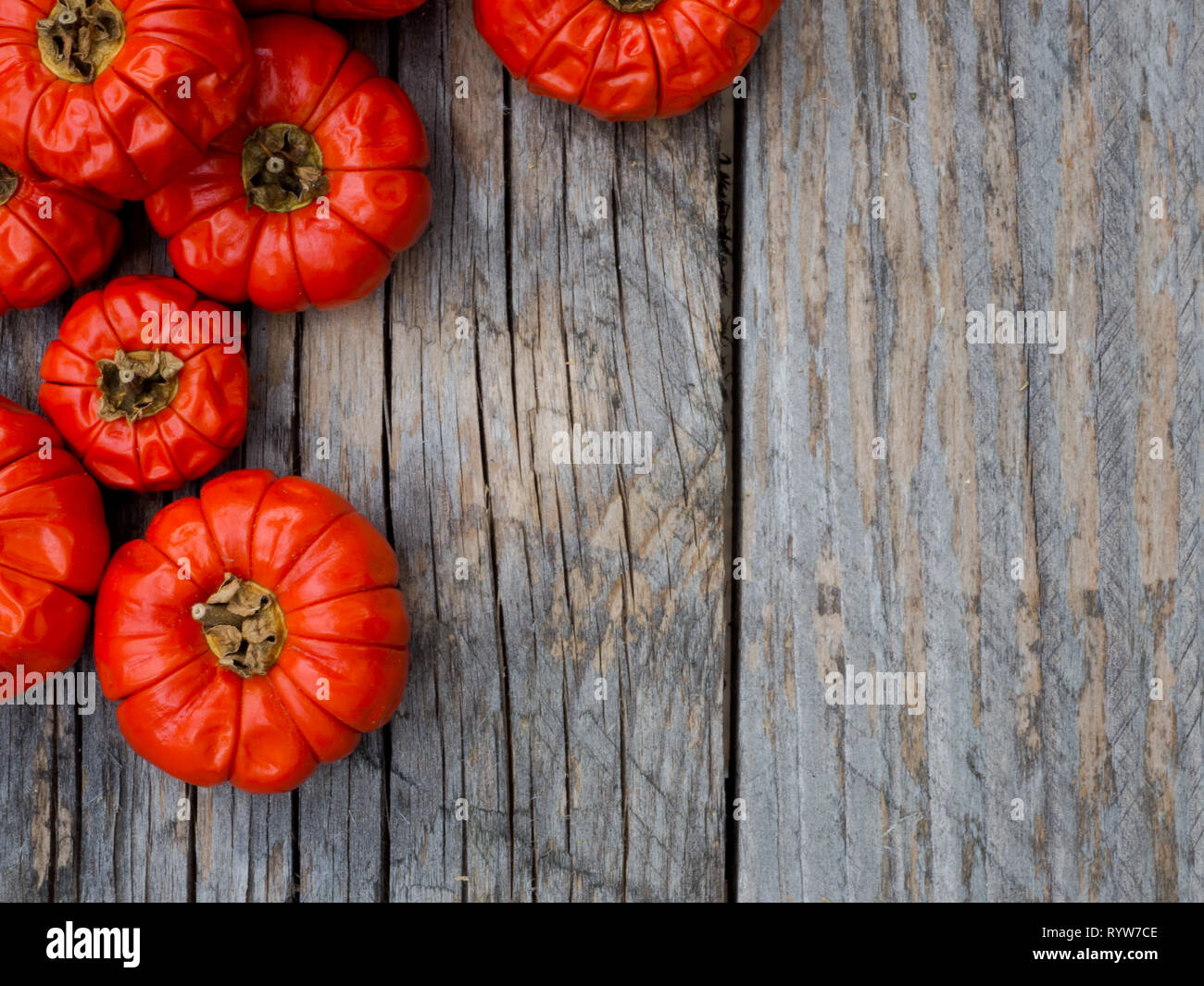 Mini peperoncini immagini e fotografie stock ad alta risoluzione - Alamy