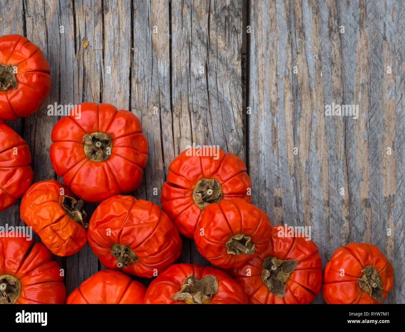Mini peperoncini immagini e fotografie stock ad alta risoluzione - Alamy