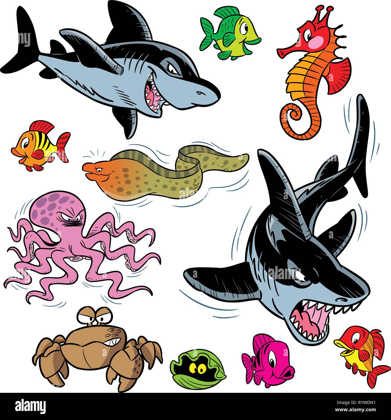 Strati marini Immagini Vettoriali Stock - Alamy