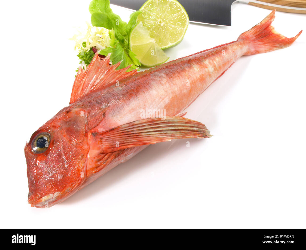 Cucinare cappone immagini e fotografie stock ad alta risoluzione - Alamy