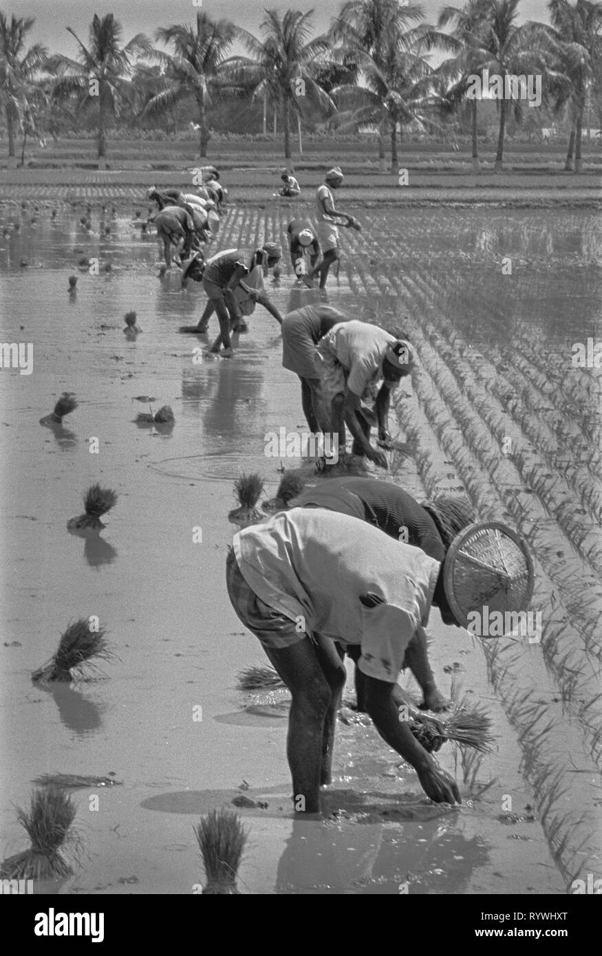 Governo del bangladesh immagini e fotografie stock ad alta risoluzione ...