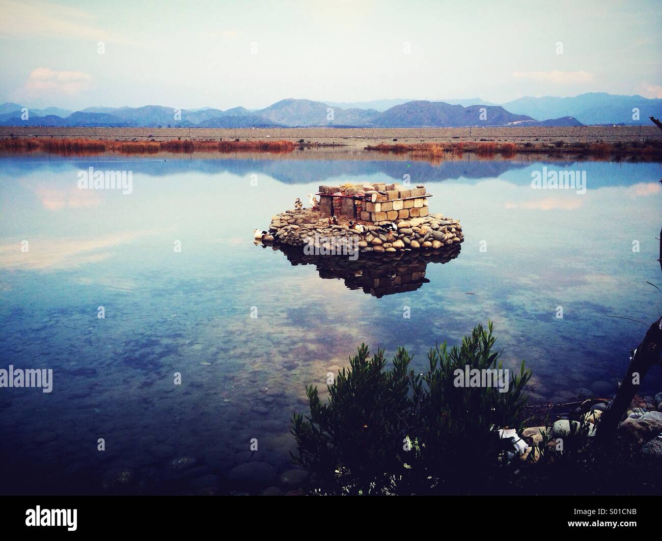 Anatra a casa immagini e fotografie stock ad alta risoluzione - Alamy