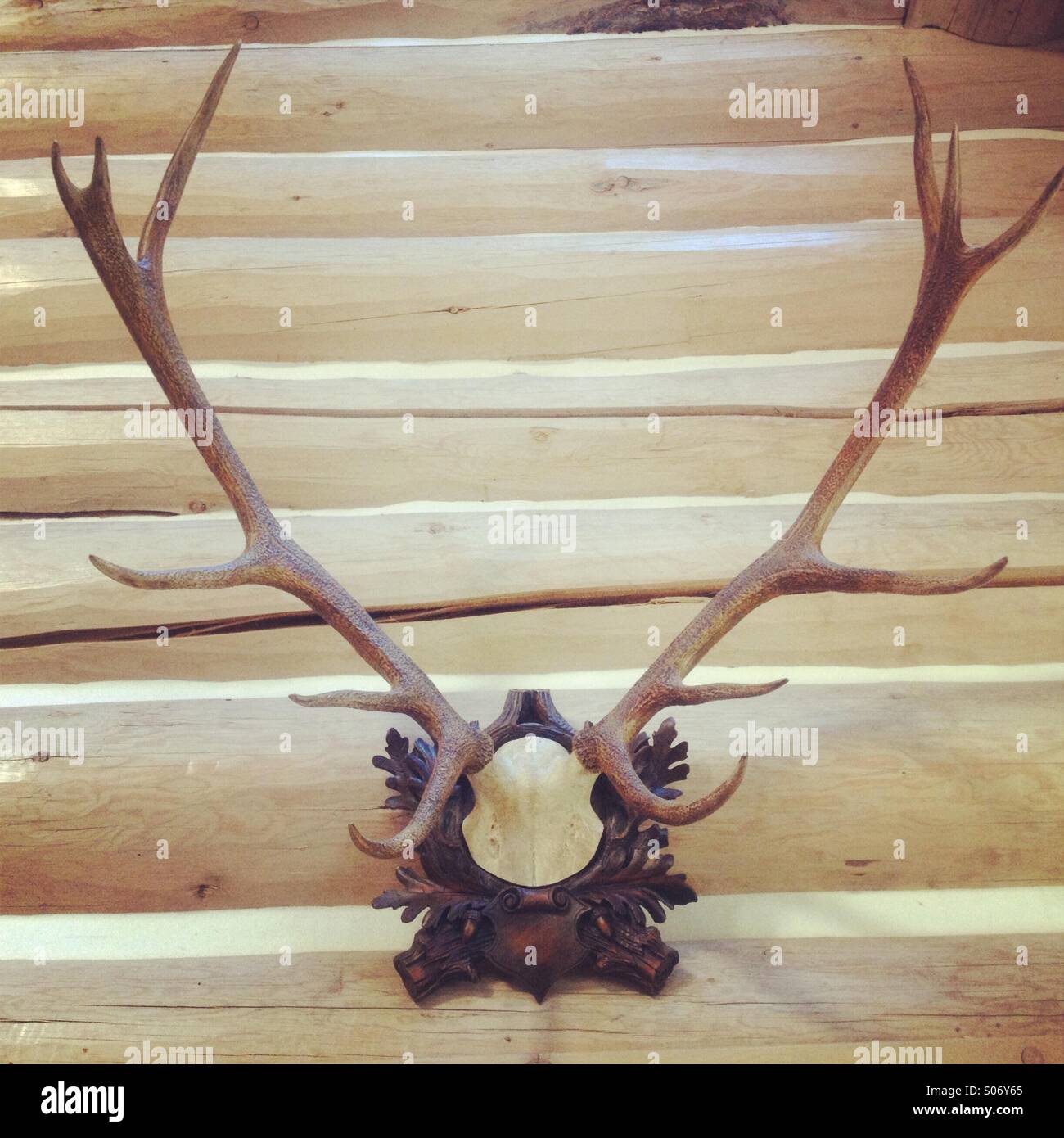 Arredamento della cabina immagini e fotografie stock ad alta ...