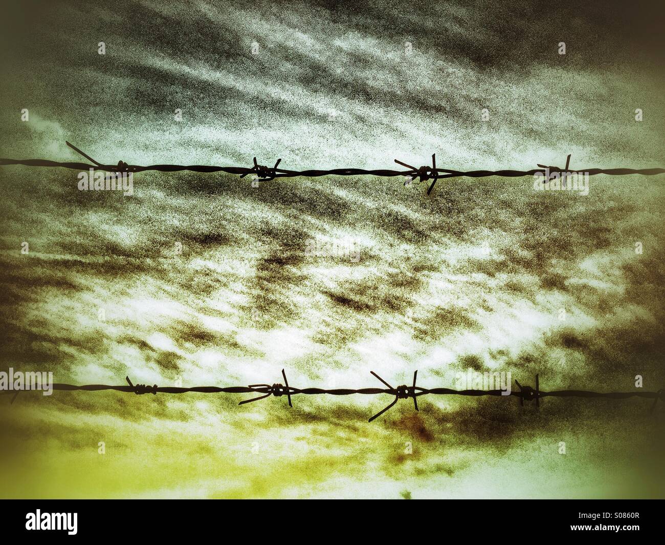 Spinato fili immagini e fotografie stock ad alta risoluzione - Alamy
