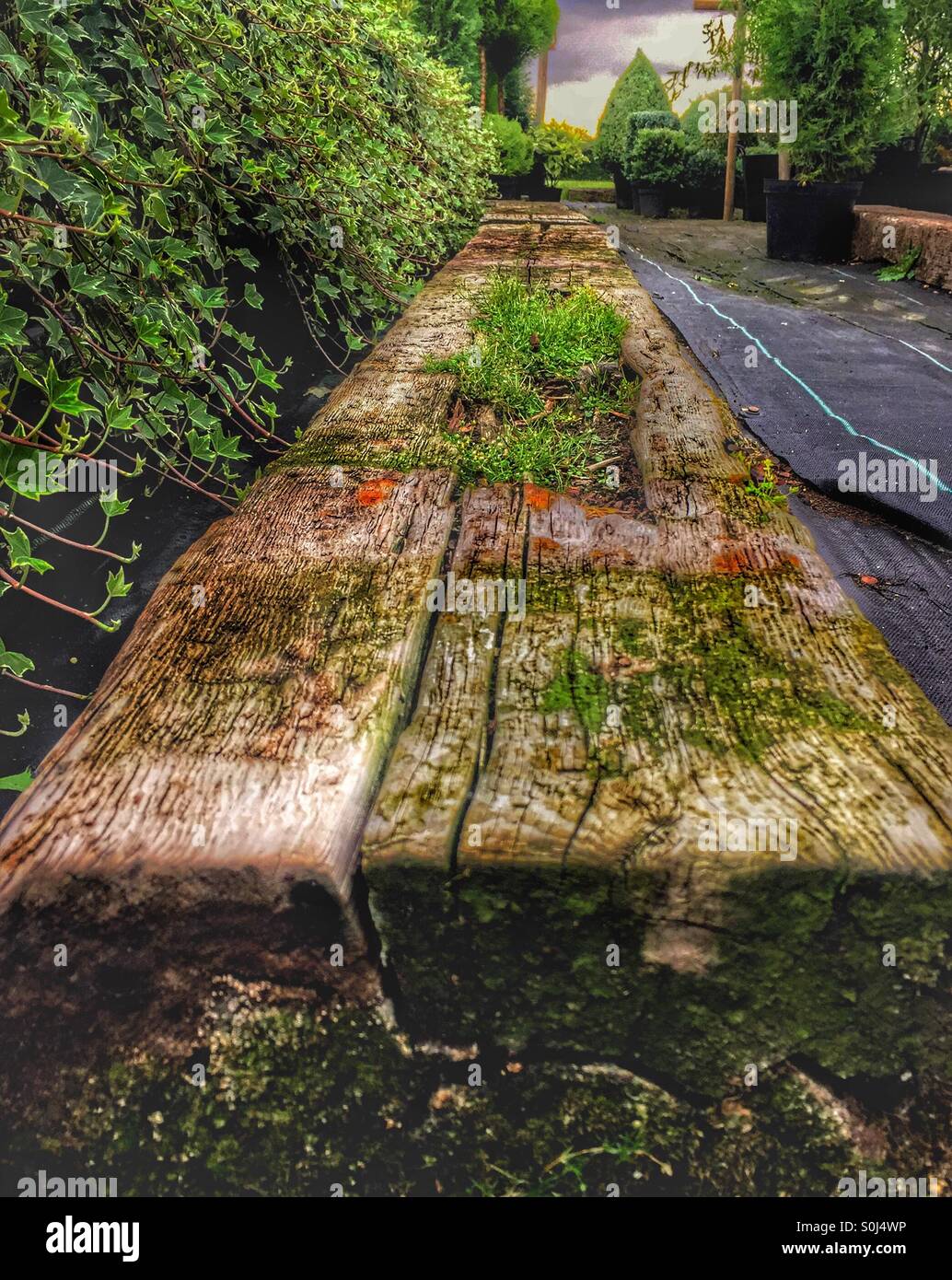 Traversina ferroviaria immagini e fotografie stock ad alta risoluzione ...