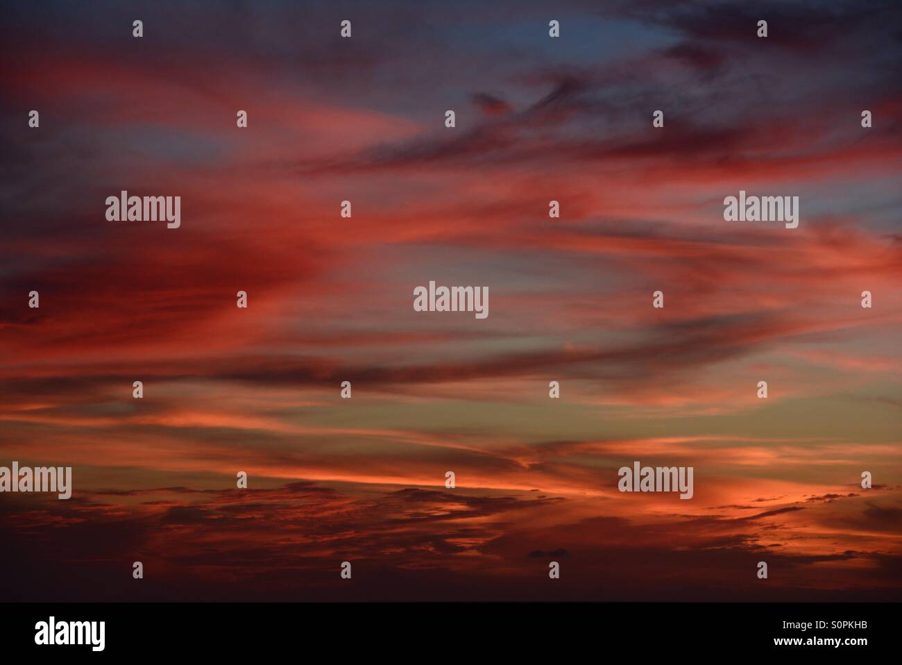 La furia rossa immagini e fotografie stock ad alta risoluzione - Alamy