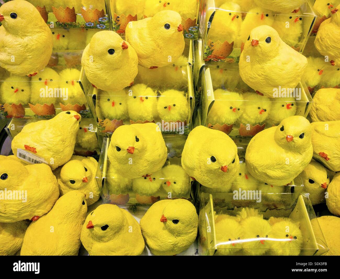 Pulcini in vendita immagini e fotografie stock ad alta risoluzione - Alamy