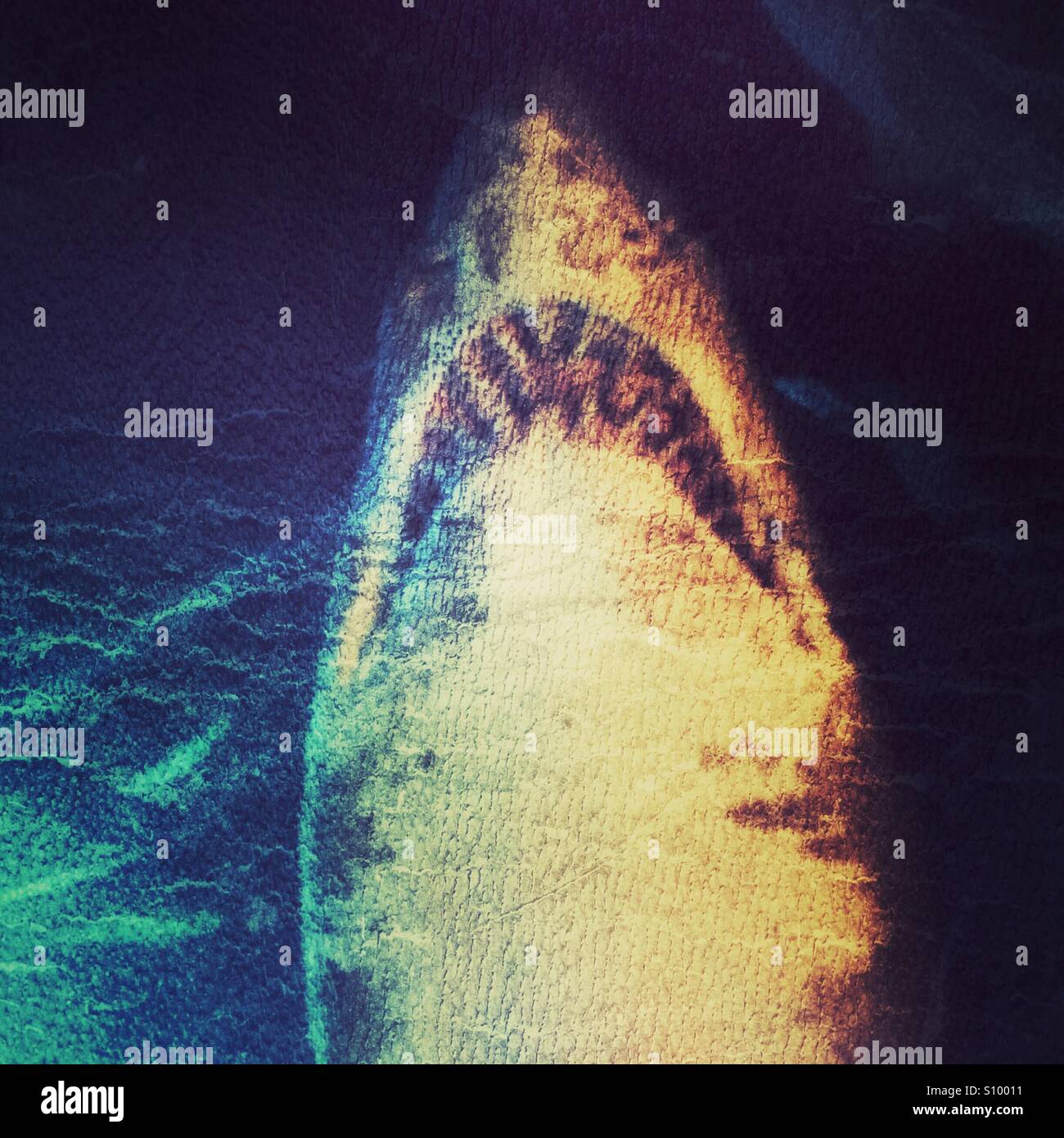 Mangiare squalo immagini e fotografie stock ad alta risoluzione - Alamy