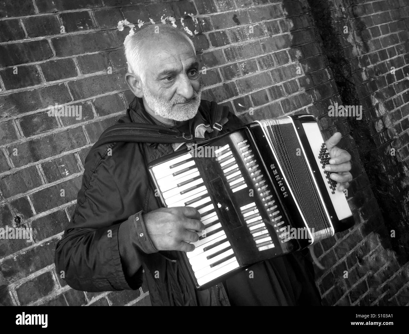 Musicista che suona la fisarmonica Foto e Immagini Stock in Bianco e ...