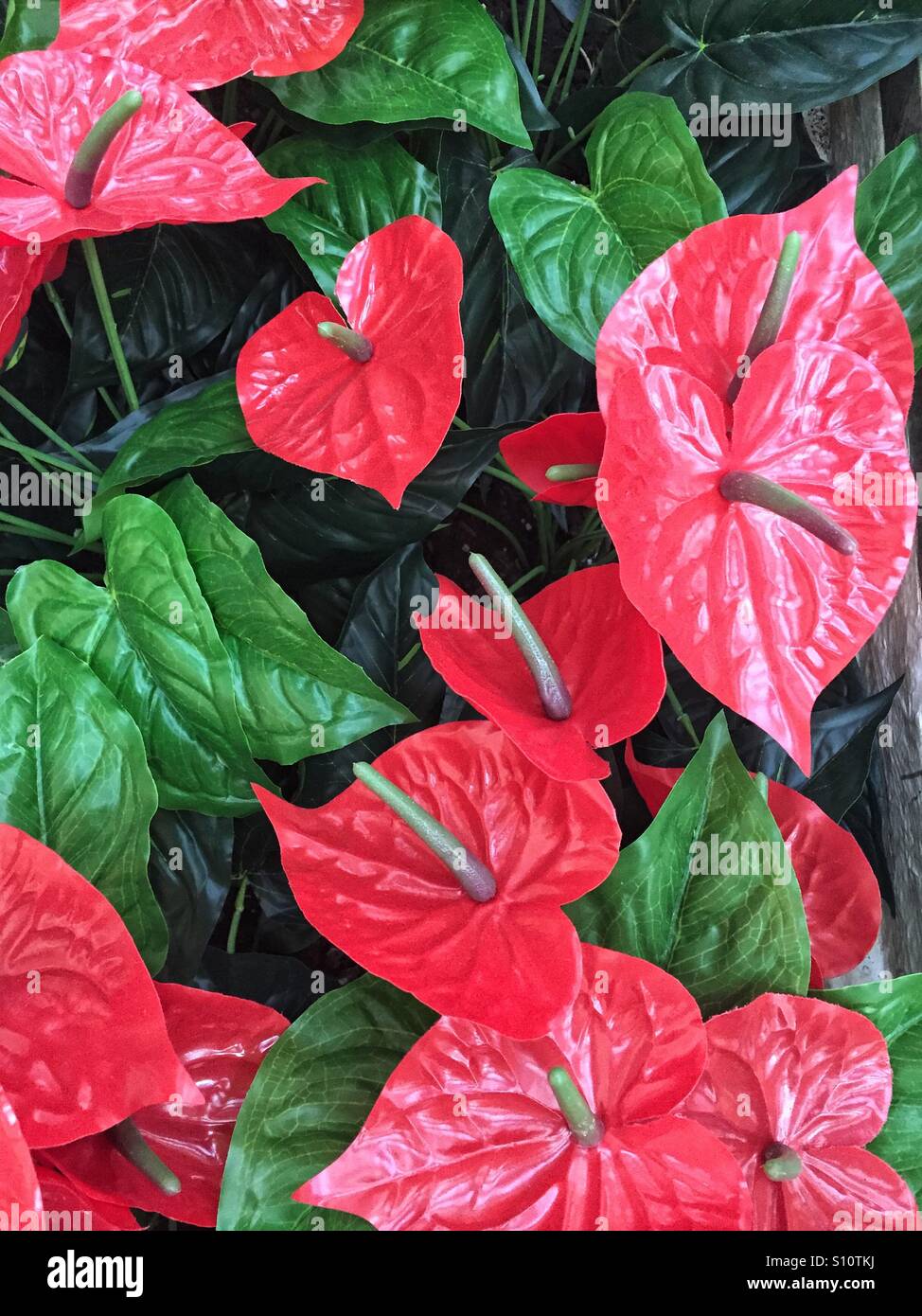 Fiori finti rossi immagini e fotografie stock ad alta risoluzione - Alamy