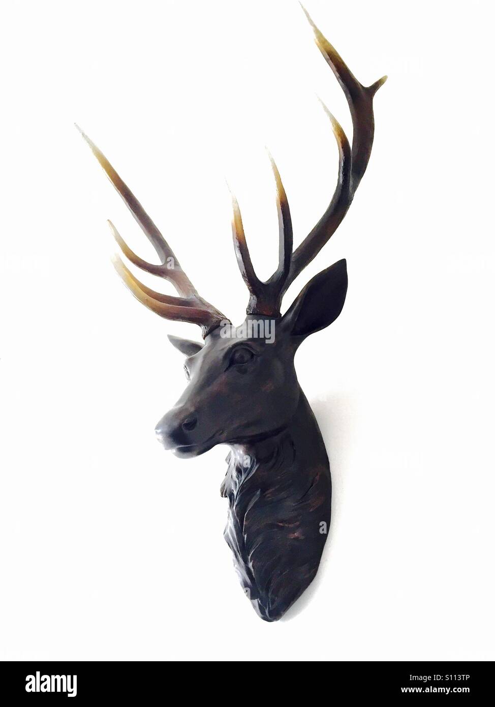 La testa di cervo immagini e fotografie stock ad alta risoluzione - Alamy