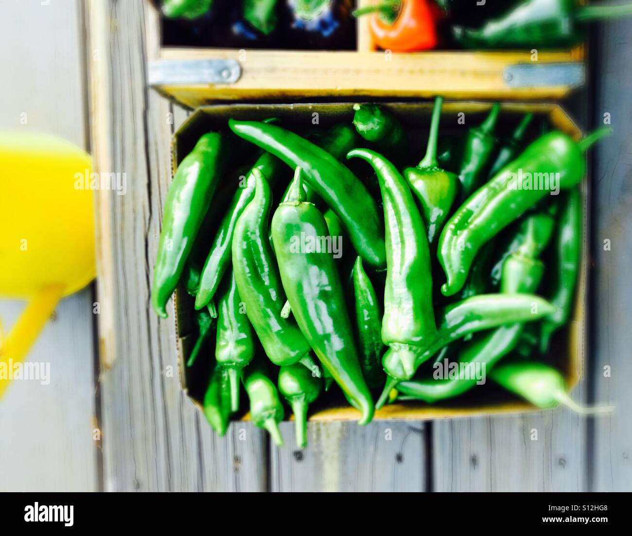 Peperoni italiani immagini e fotografie stock ad alta risoluzione - Alamy