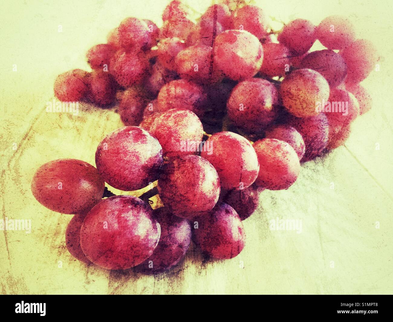 Grappolo d'uva rossola immagini e fotografie stock ad alta risoluzione ...