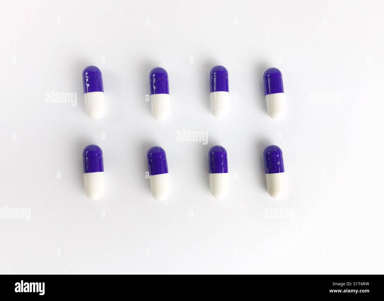 Otto pilz immagini e fotografie stock ad alta risoluzione - Alamy