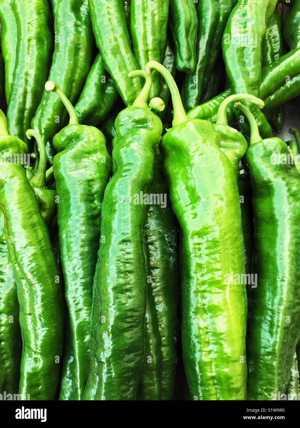 Peperoni italiani immagini e fotografie stock ad alta risoluzione - Alamy