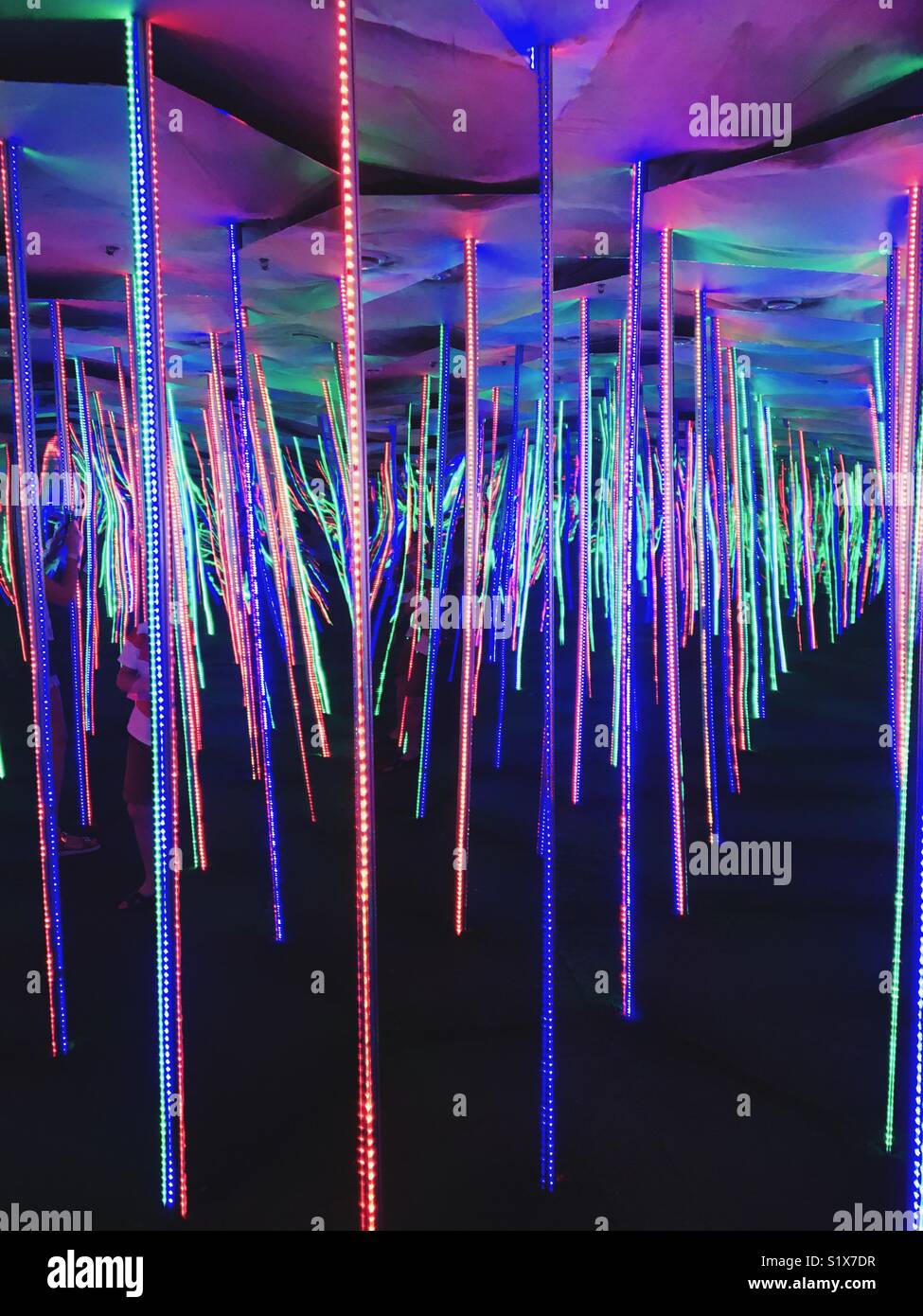 Specchi labirinti immagini e fotografie stock ad alta risoluzione - Alamy