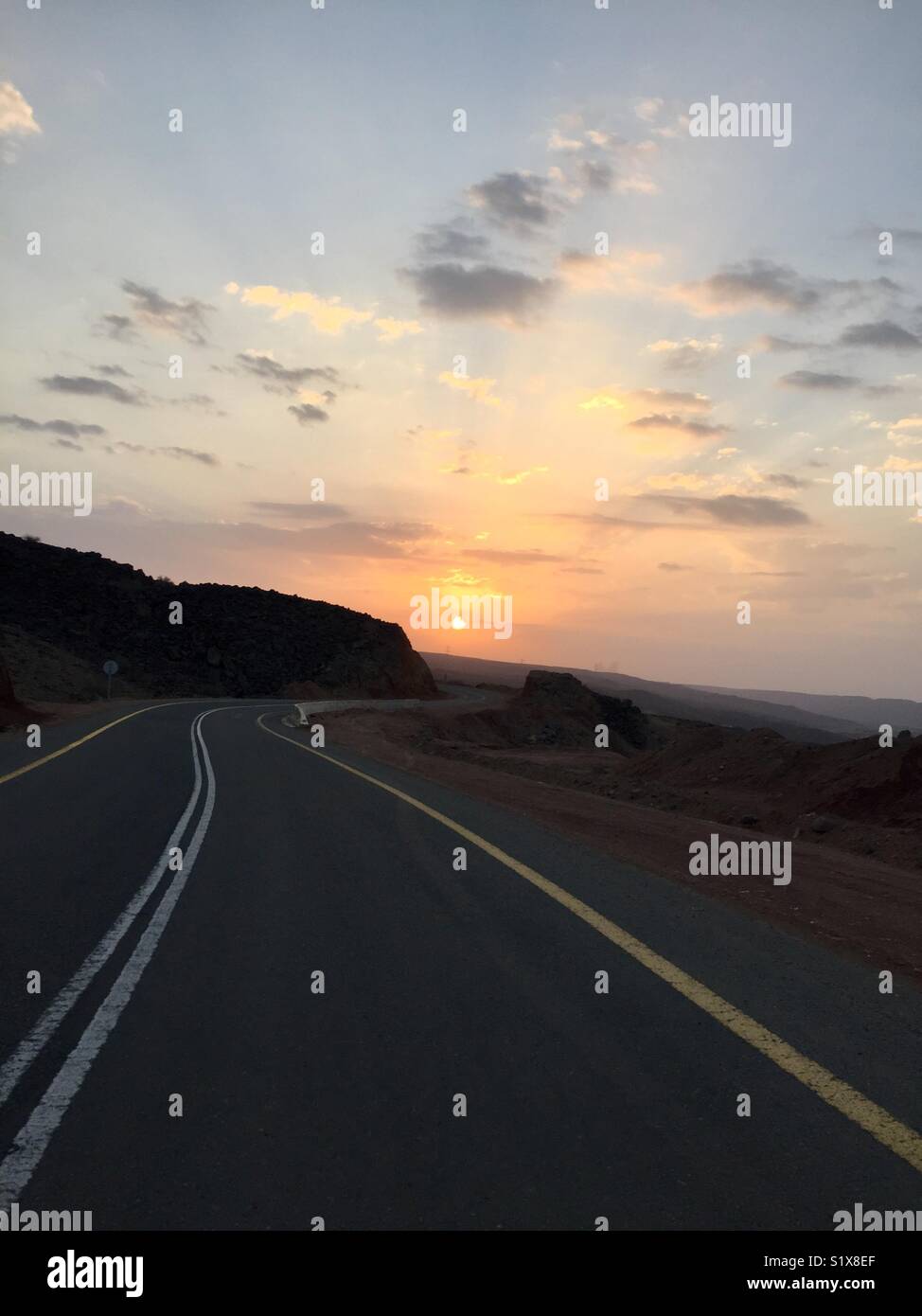 Tortuosa tortuosa immagini e fotografie stock ad alta risoluzione - Alamy