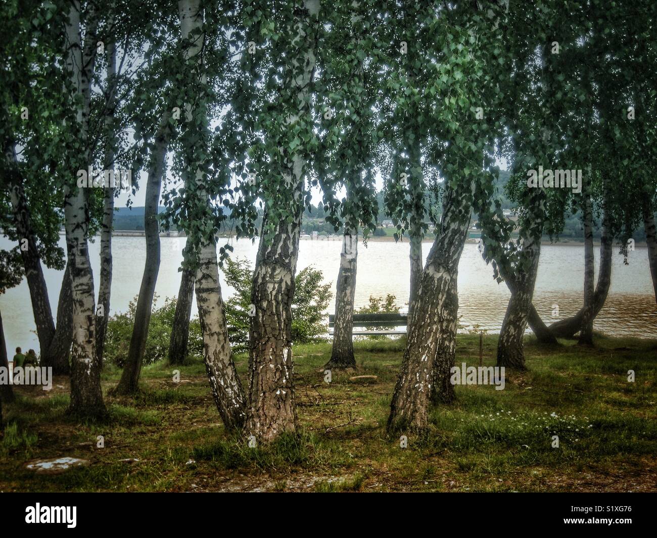 Lago di solina immagini e fotografie stock ad alta risoluzione - Alamy