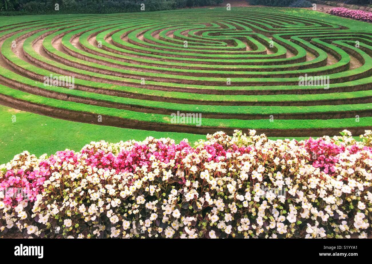 Il labirinto del giardino immagini e fotografie stock ad alta ...