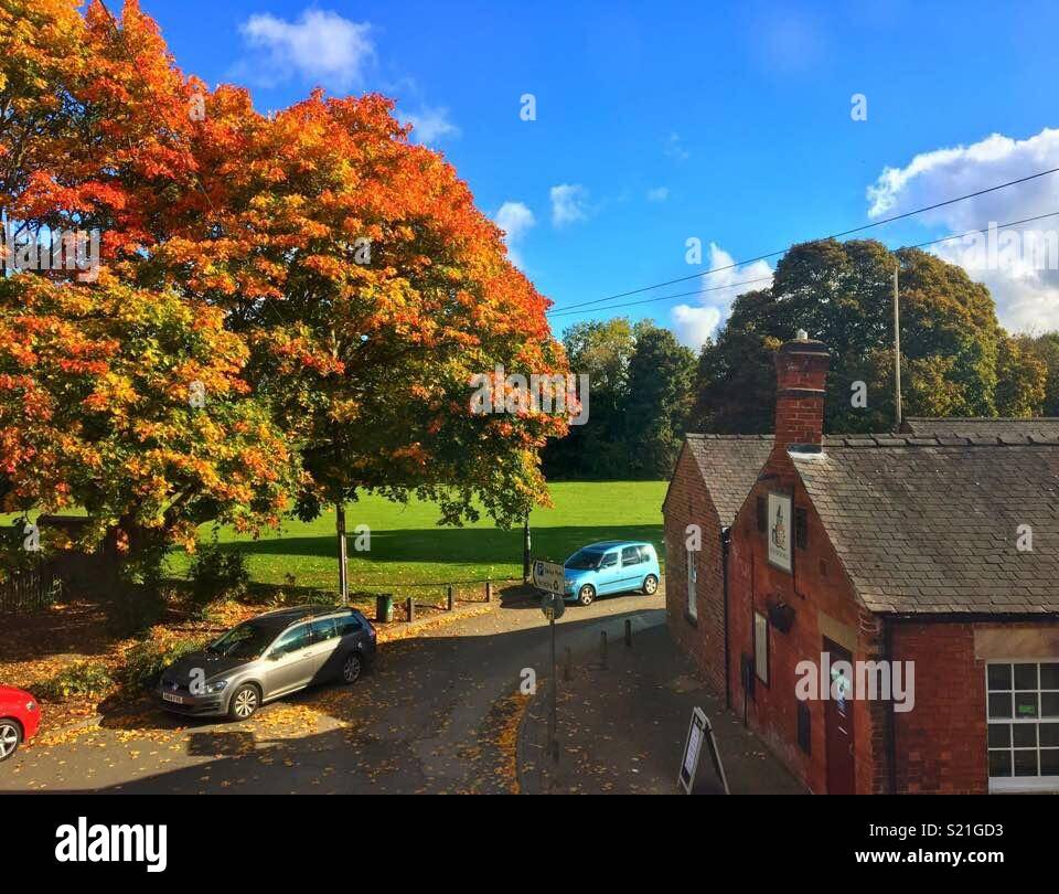 Derby di darley park immagini e fotografie stock ad alta risoluzione ...