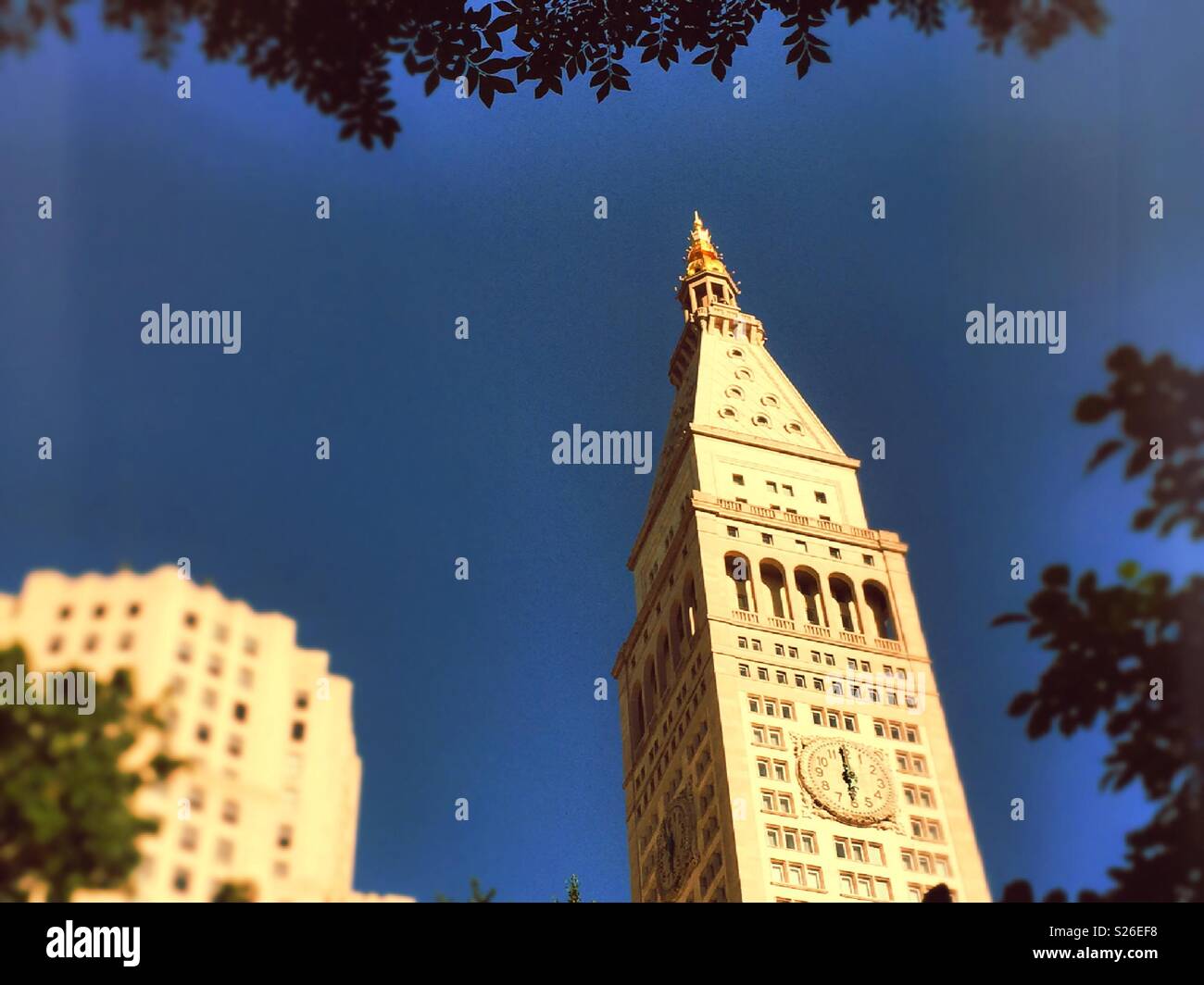 Parco metlife immagini e fotografie stock ad alta risoluzione - Alamy