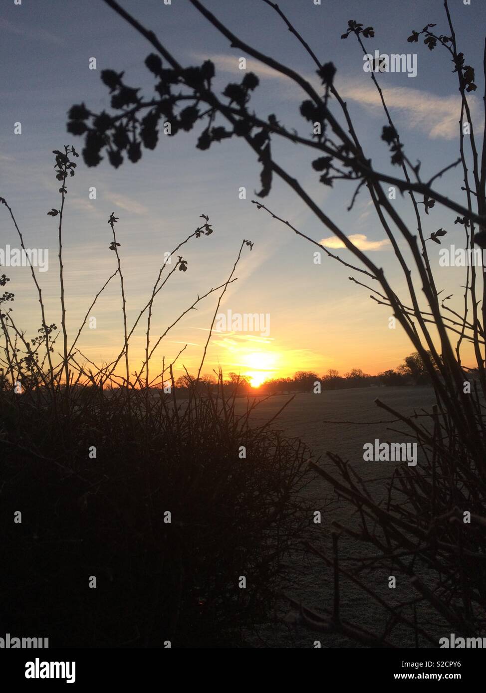 Cielo del mattino d'inverno immagini e fotografie stock ad alta ...