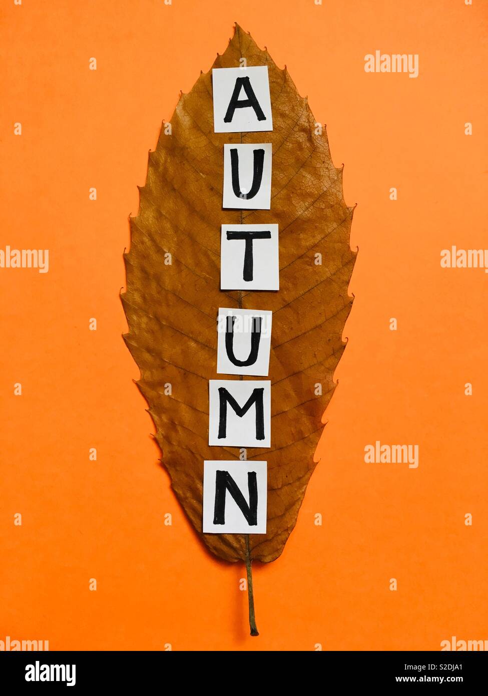 Parola autunno immagini e fotografie stock ad alta risoluzione - Alamy