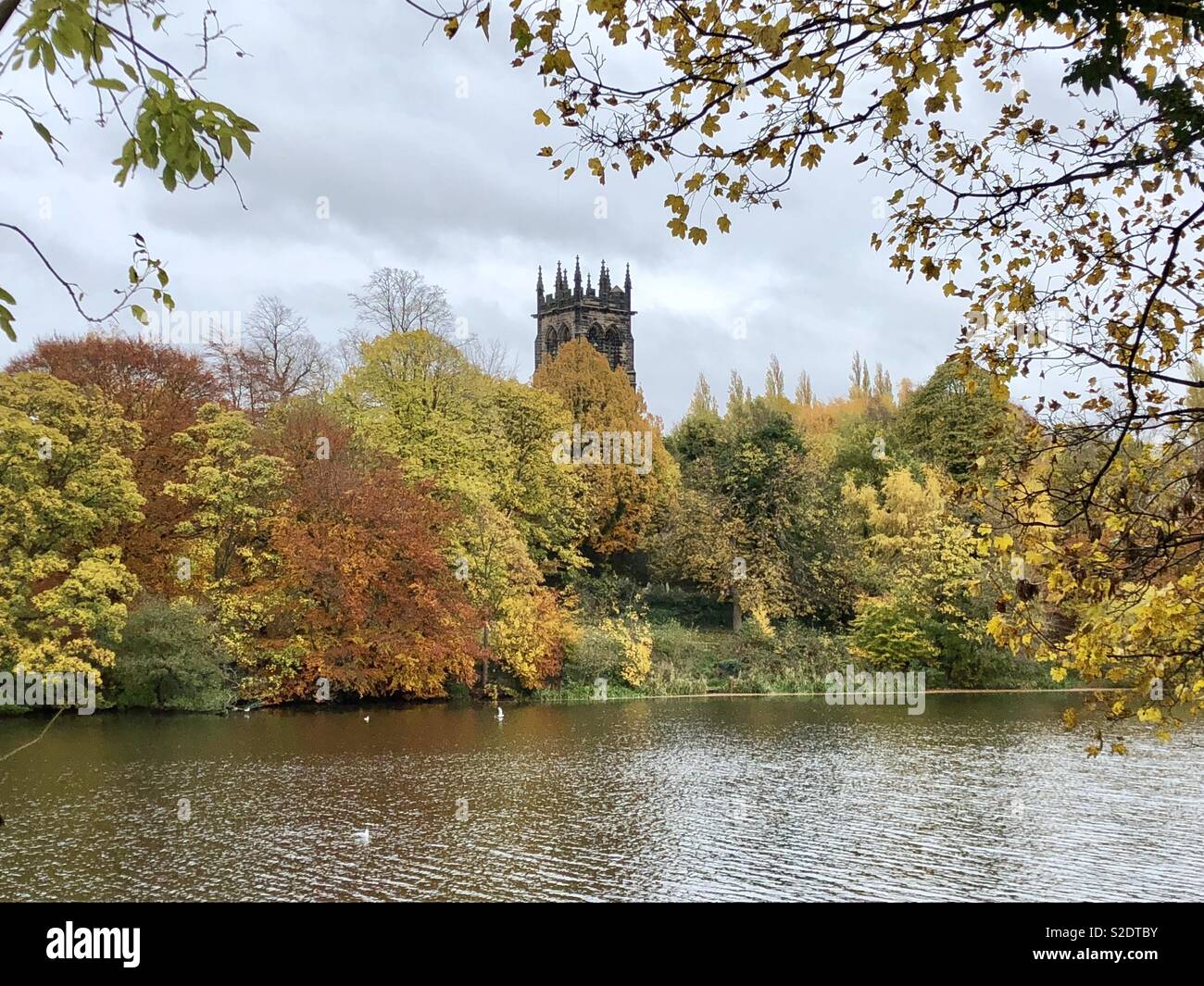 Qui in lymm immagini e fotografie stock ad alta risoluzione - Alamy