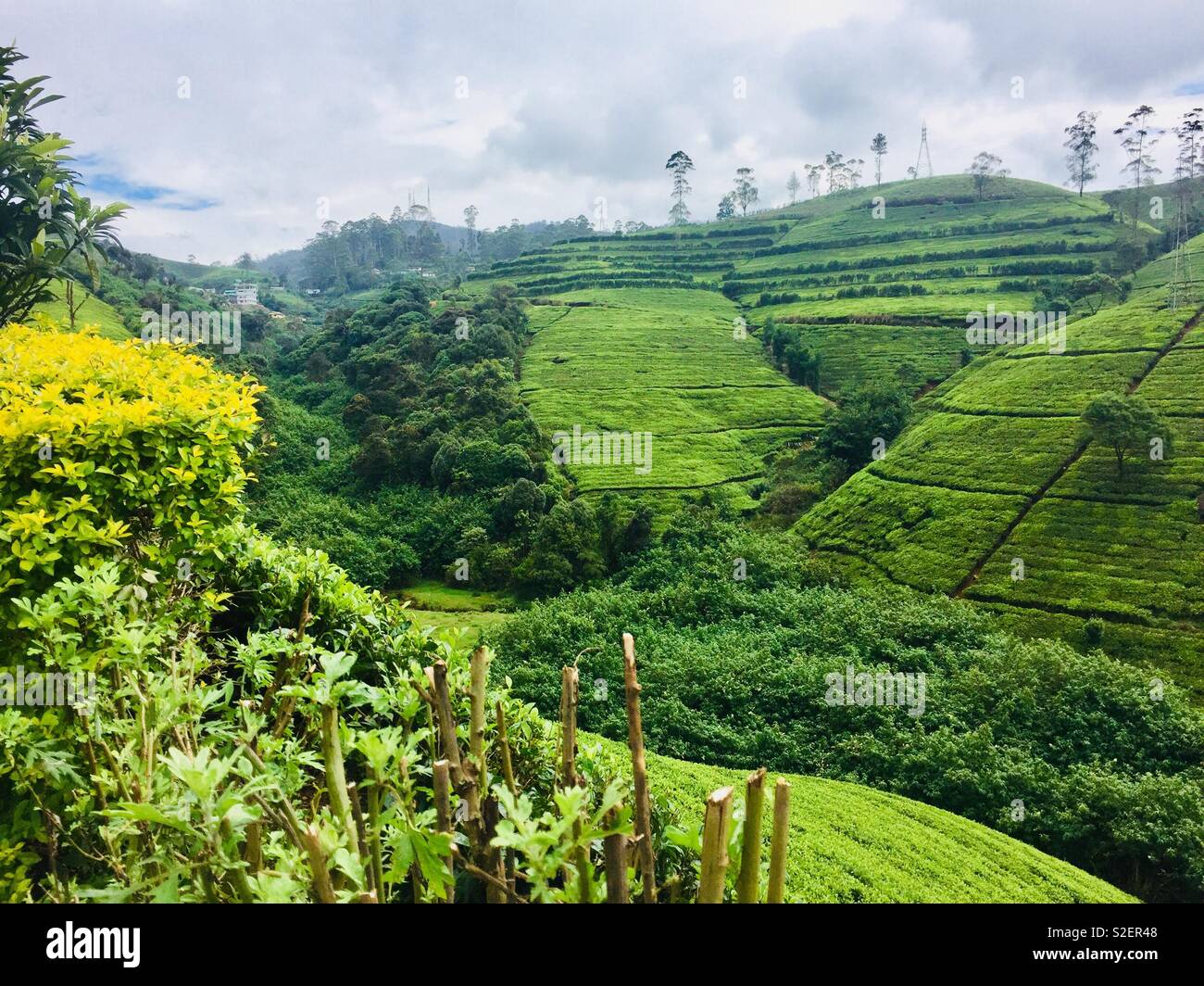 Sri lanka natur immagini e fotografie stock ad alta risoluzione - Alamy