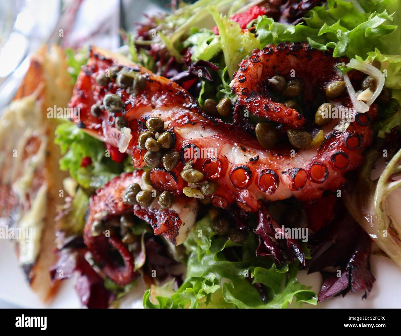 Polpo alla griglia immagini e fotografie stock ad alta risoluzione - Alamy