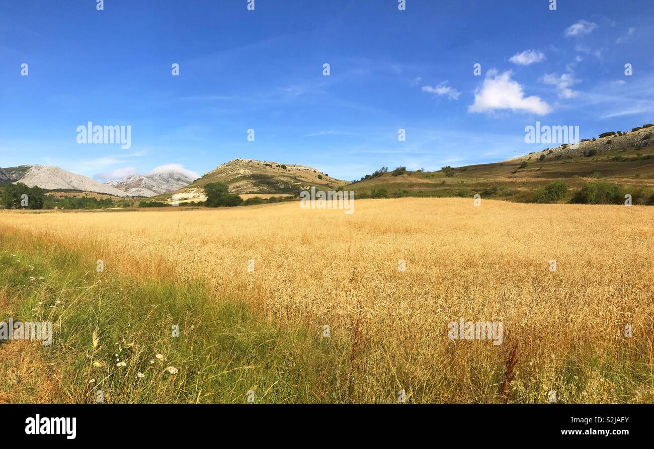 Grano montana immagini e fotografie stock ad alta risoluzione - Alamy