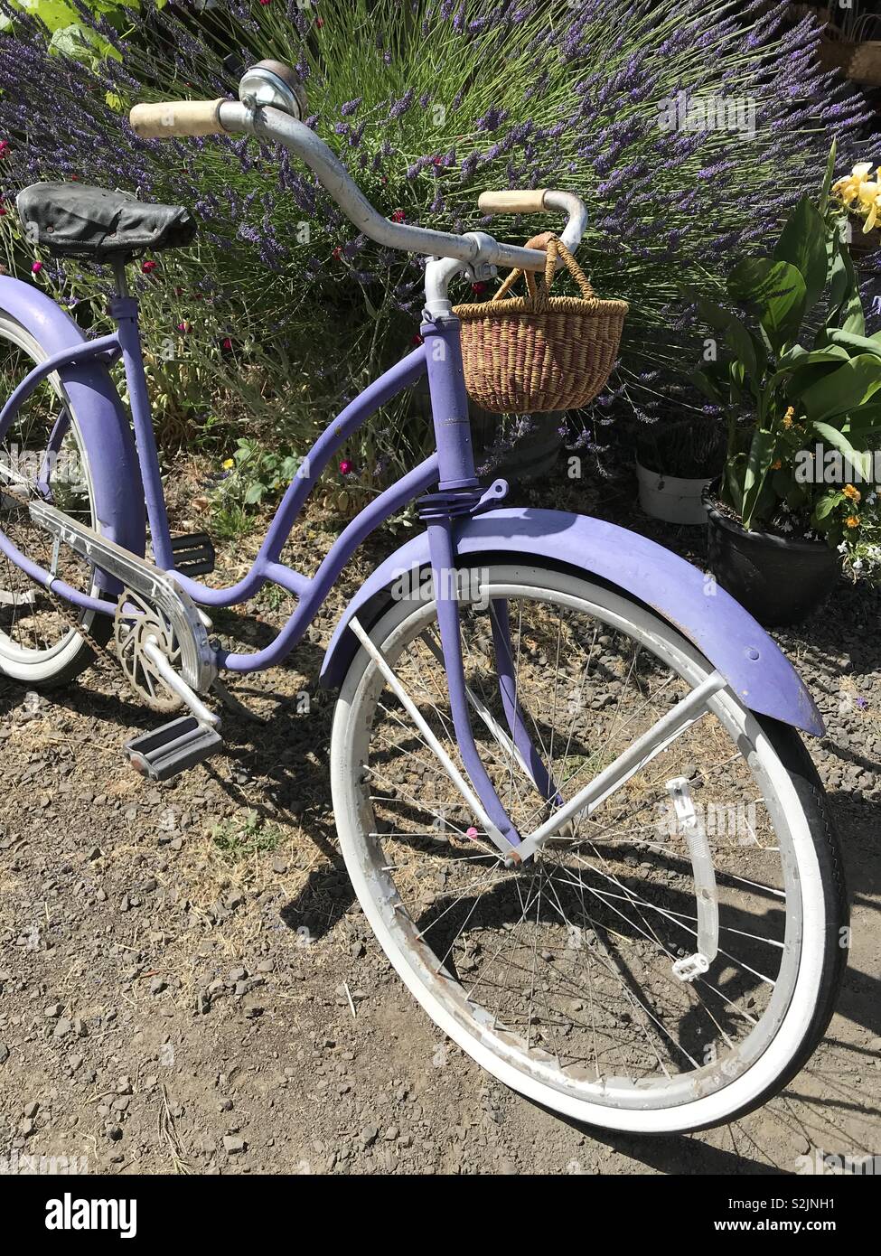 Purple bike immagini e fotografie stock ad alta risoluzione - Alamy