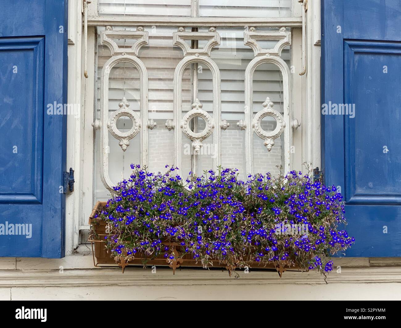 Fioriera per persiane immagini e fotografie stock ad alta risoluzione ...