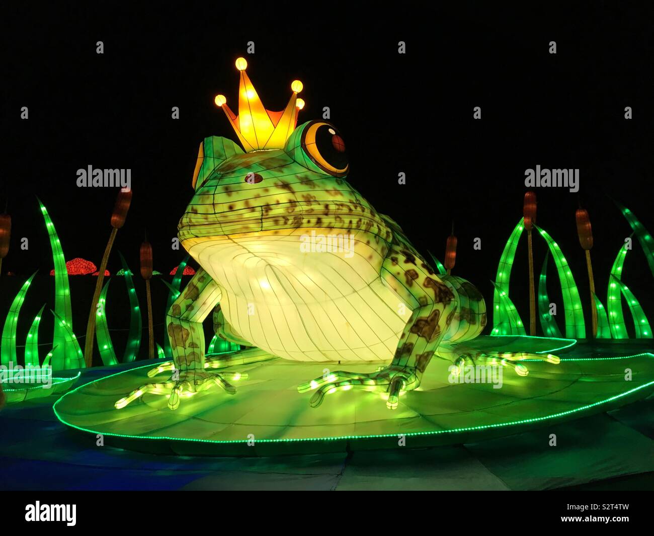 Principe ranocchio immagini e fotografie stock ad alta risoluzione - Alamy