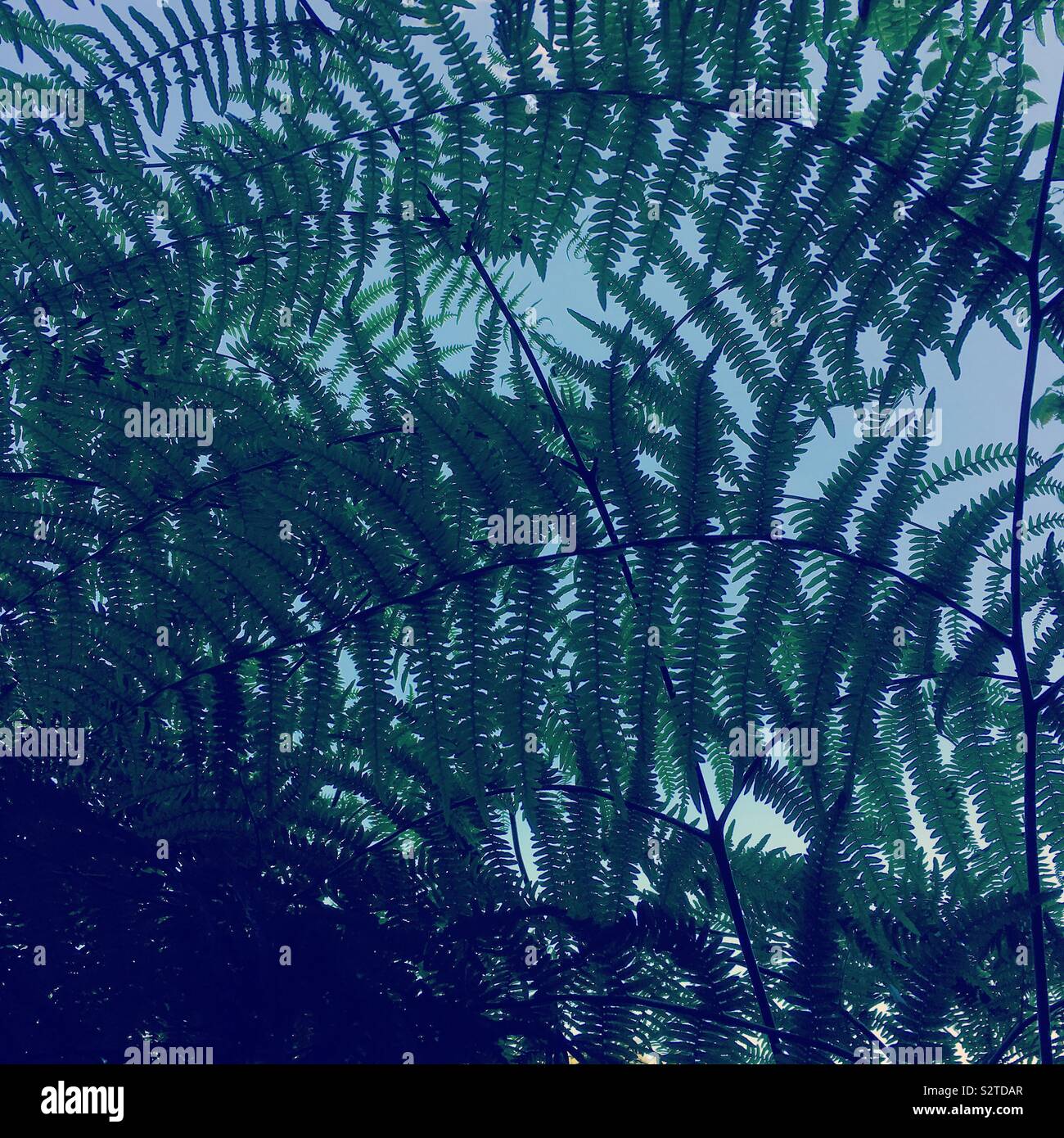 Aspetto sbiadito immagini e fotografie stock ad alta risoluzione - Alamy