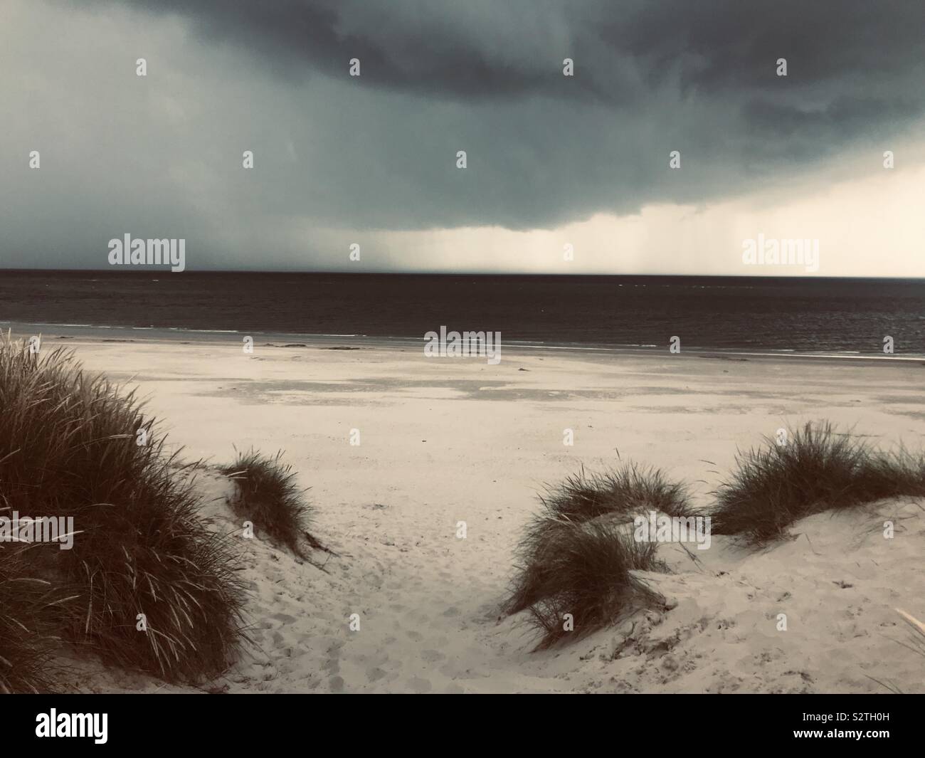 Spiagge danimarca immagini e fotografie stock ad alta risoluzione - Alamy